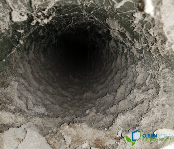 Hidden Hazards: 3 Common Contaminants in Your Air Ducts - CLE Blog